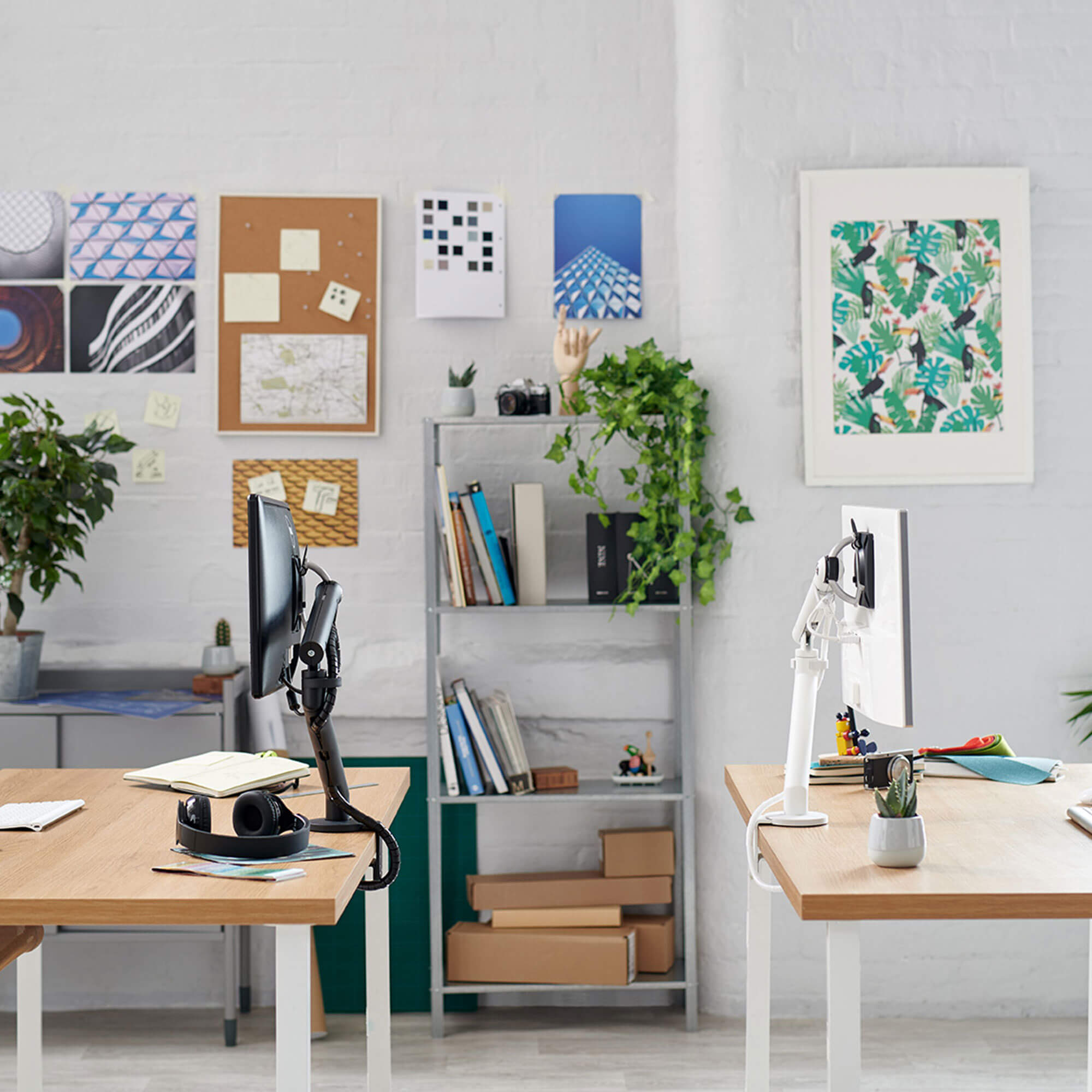 CBS Flo Monitor Arm | Single & Dual | White, Black, or Grey